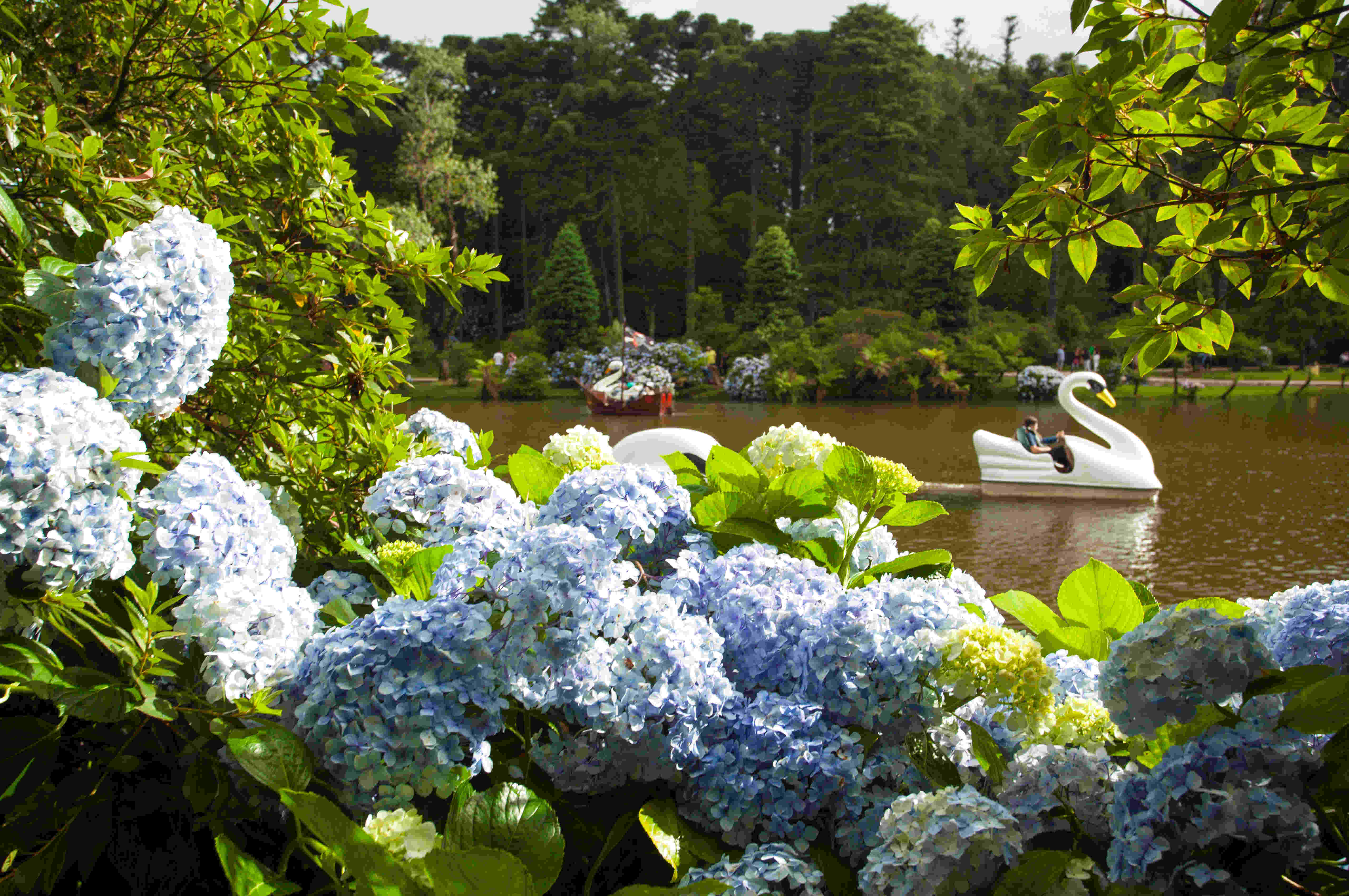Gramado Inesquecível - Gramado Saúde e Bem-Estar